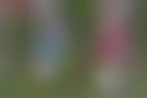 Discreet Trackable Shoelaces : gps tracking