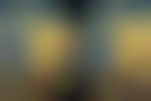 Eye-Strengthening VR Systems : vivid vision