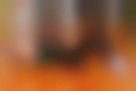 Collapsible Muscle-Massaging Rollers : Neofit Roller