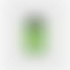 Beautifying Probiotic Capsules : gut instinct