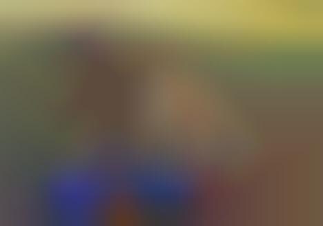 Canine Playtime Toy Guns : dog ball