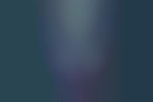 Privacy-Enhancing Light Bulbs : LiShield