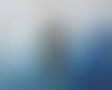 Hookless Spring-Loaded Fish Lures : 'No Hurt' Fishhook