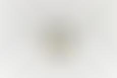 Hybrid Air-Water Robots : robobee microrobot