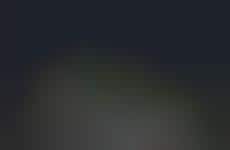 Expanding Holiday Trees : Height-Adjustable Christmas Tree