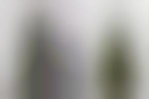 Expanding Holiday Trees : Height-Adjustable Christmas Tree