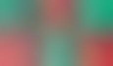 Seasonal Toilet Tissues : toilet tissues