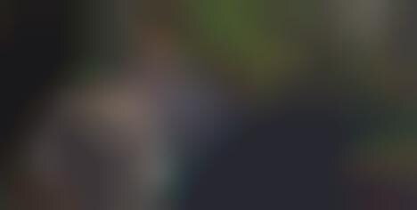 Haute Fashion Brand Furniture : fendi welcome