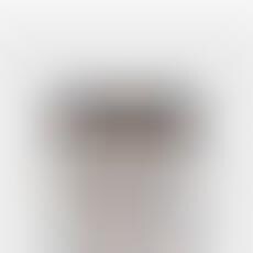 Gourmet Maple Salts : maple salt