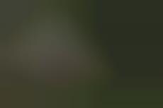 Charming Outdoor Relaxation Pods : escape pods