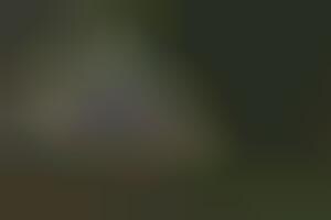 Charming Outdoor Relaxation Pods : escape pods