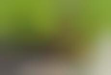 Informative Wine-Reading Tools : wine scanner