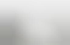 Flexible Rolling TVs : LG Rollable OLED TV