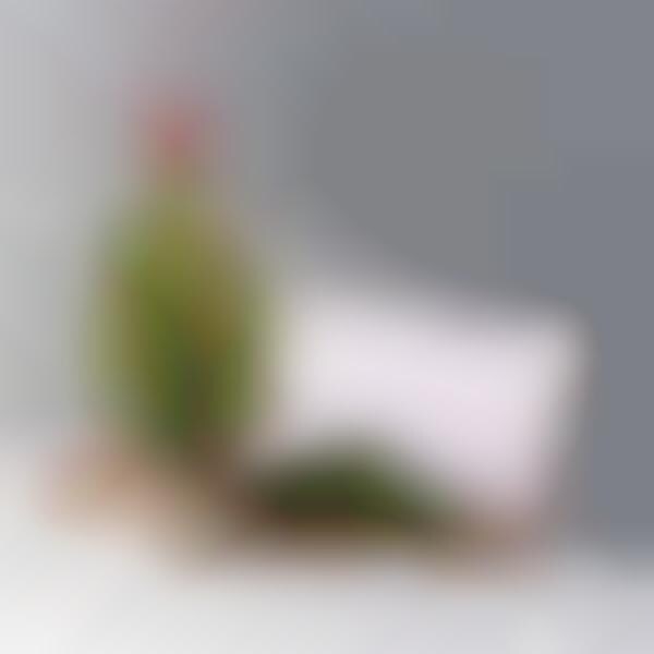 Letterbox-Sized Christmas Trees : tiny tree