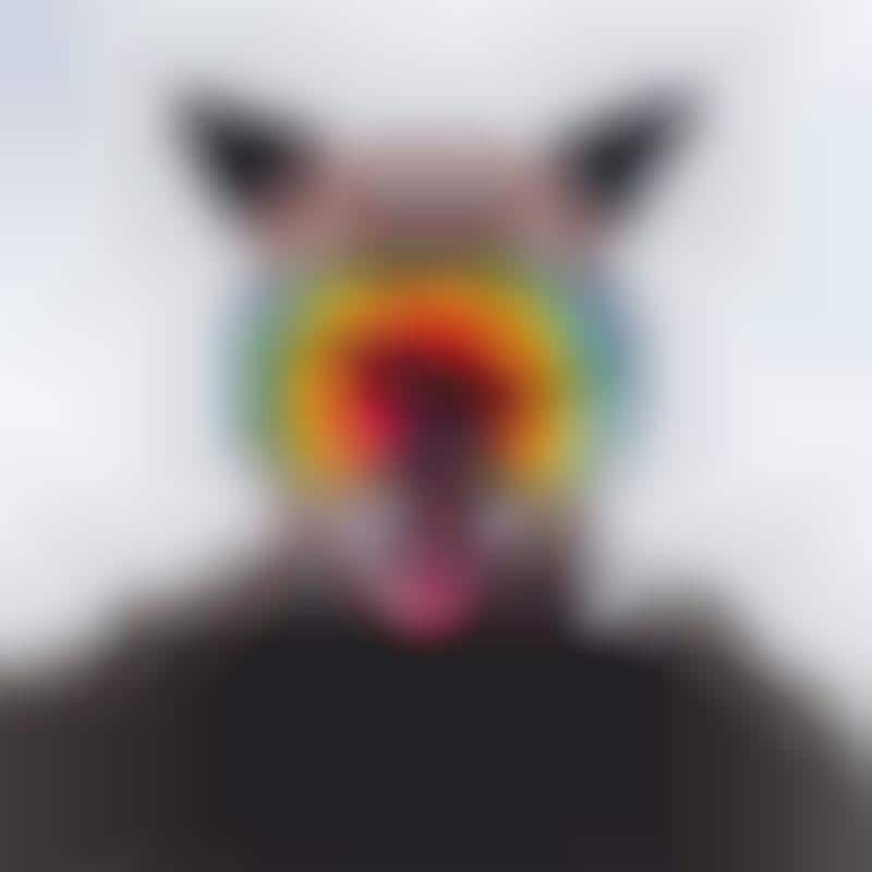 26 Snow Sport Essentials