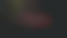 Branded Meat Print Sweatsuits : Meat Sweatsuits