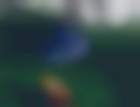 Personal Hydroelectric Energy Generators : Blue Freedom