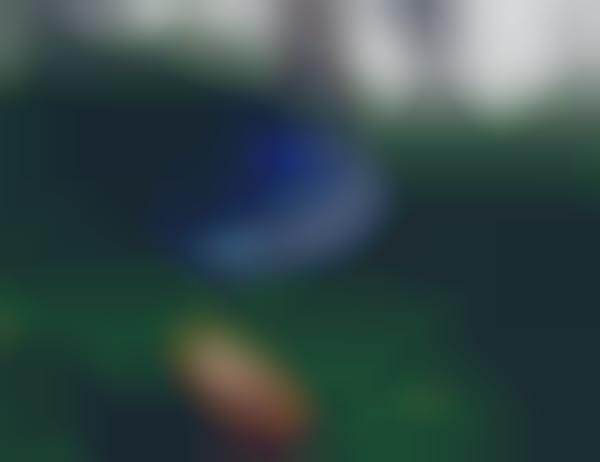 Personal Hydroelectric Energy Generators : Blue Freedom