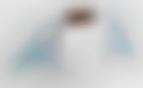 Constantly Recording Cameras : Time Machine Camera