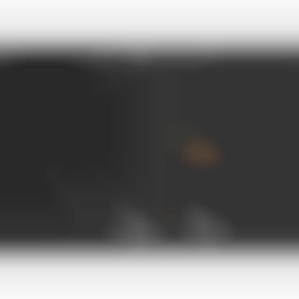 Action-Built Adventure Pants : Trailhead Adventure Pants