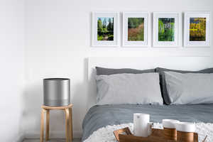 Total Room-Cleaning Purifiers : airo purifier