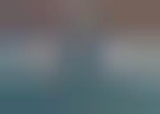 Privacy Protecting Voice Assistants : Mycroft Mark II