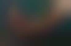 Feminist Barbie Doll Collections : shero line