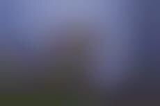 Rustic Tower Homes : Observation Lounge House