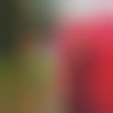 Blindly Embracing Strangers: 'The Anonymous Hugging Wall' Lets You ...