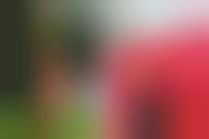 Blindly Embracing Strangers: 'The Anonymous Hugging Wall' Lets You ...