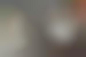 DIY Wheelbarrow Benches: Mobile Outdoor Seating on a Wheel