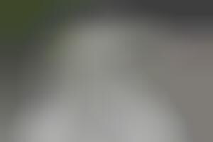 Wireframe Fashion Shops : flagship fashion store