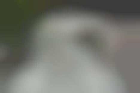 Wireframe Fashion Shops : flagship fashion store