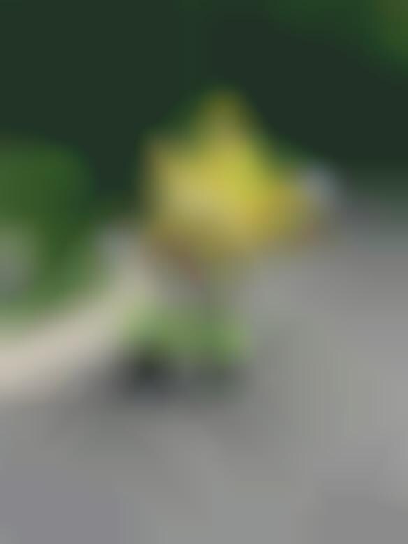 Fantastical Textile Creatures : textile creatures