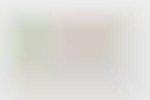 Reduced Sugar Smoothies : Bolthouse Farms Smoothies