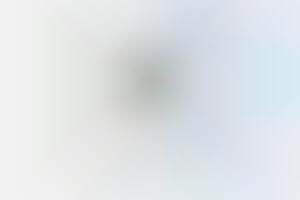 Real Estate CRM Chatbots : convos chatbot