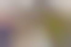 Feminist Barbie Doll Collections : shero line