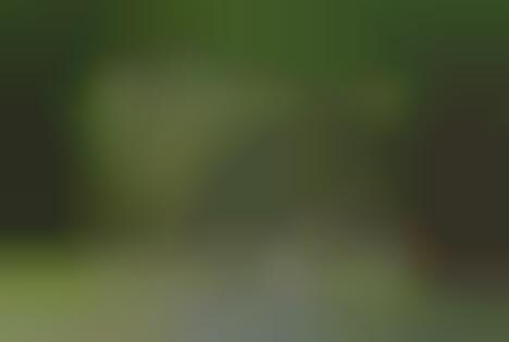 Low-Profile Architectural Homes : low-lying residence