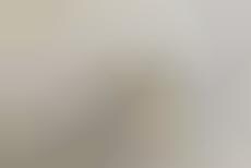 Designer Department Store Cafes : Off-White Cafe