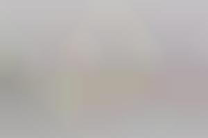 Illustrated Insect Snack Packaging : ZIRP INSECTS