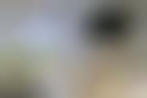 Architectural Standing Desks : Elevated Working Surfaces