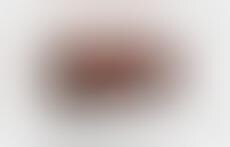 Italy-Inspired Sofas : Furrow sofa