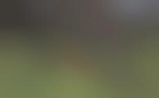 High-Speed Electric Bikes : Swind eb-01