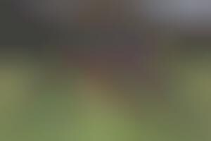 High-Speed Electric Bikes : Swind eb-01