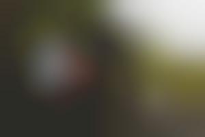 Bridge House Hotel Rooms : the sweets hotel