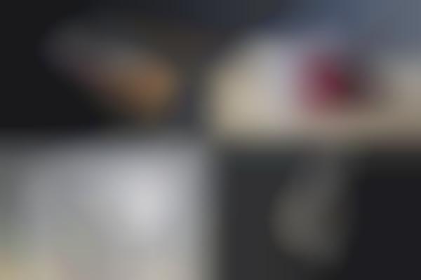 Magnetic Multipurpose Wallets : CLIPPY wallet