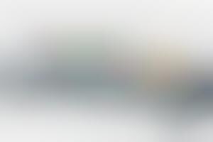 Warming Host Trays : Hostess Hot Tray