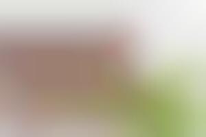 Bottled Herbal Hawaiian Teas : Shaka Tea