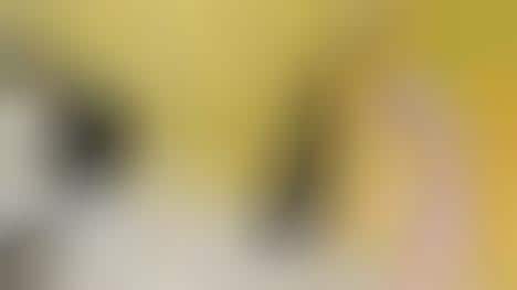 Sculptural Yellow-Clad Retail Stores : Acne Studios' West Hollywood store