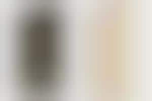 Designer Bootleg Phone Cases : bootleg phone cases